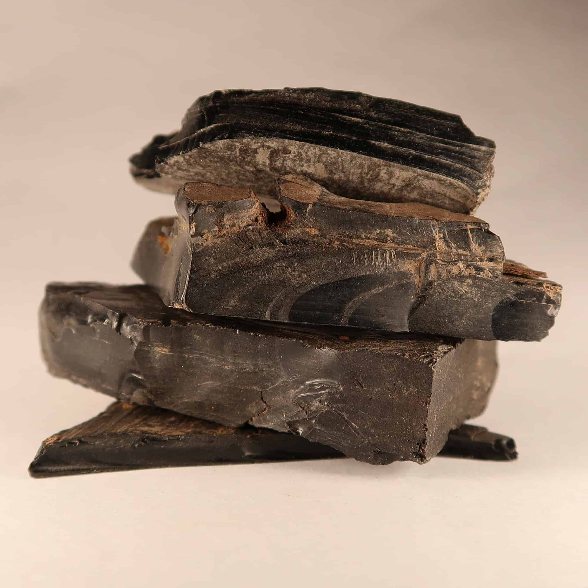 Whitby Jet Specimens - Buy Whitby Jet Online - UK Mineral Specimens