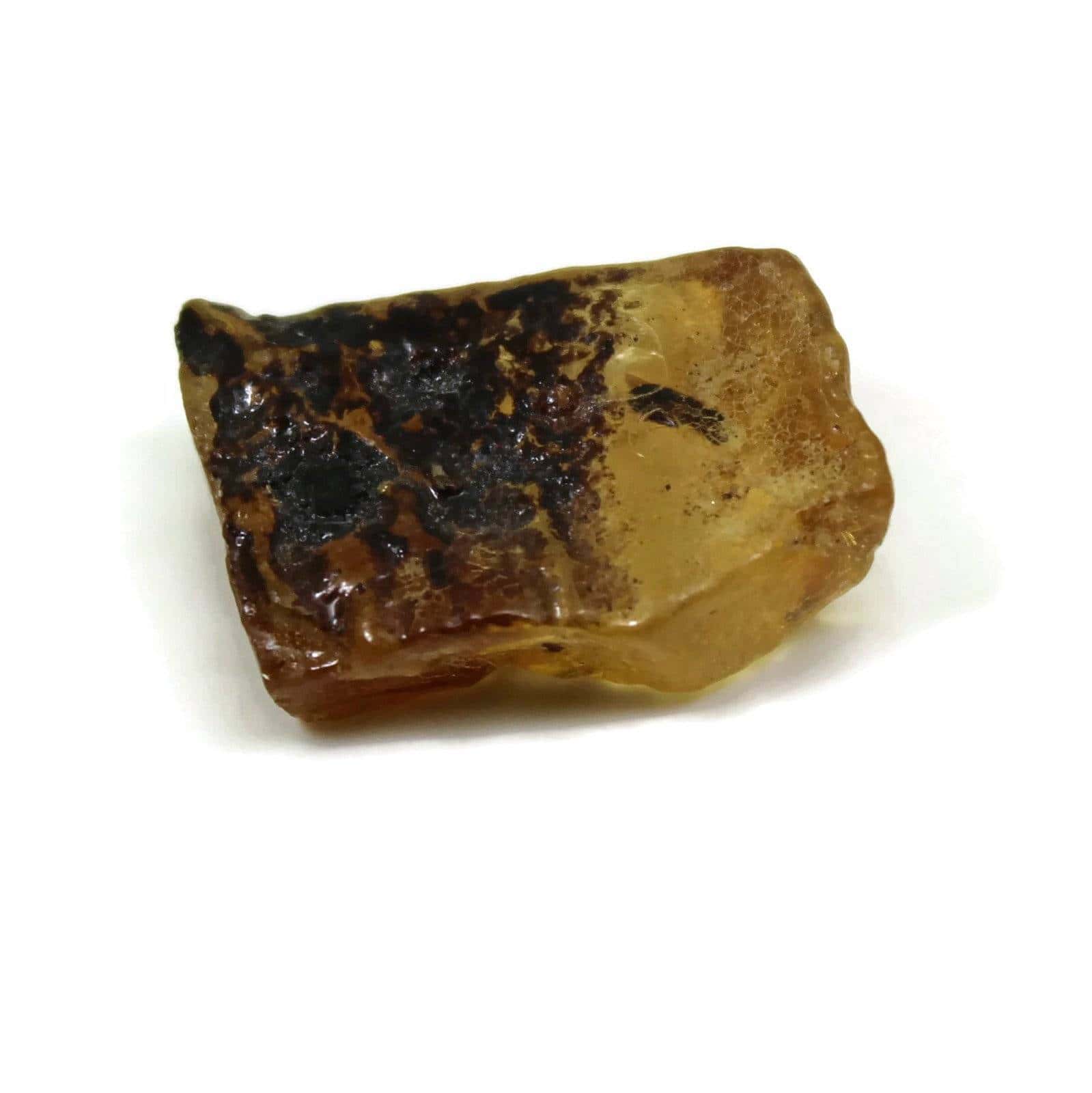 Copal with Insects - Buy fossil Copal with Insect inclusions - UK Fossils