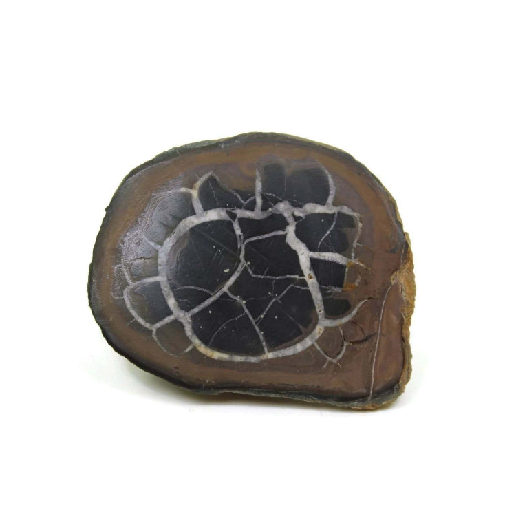 Septarian Nodule Pairs - Buy Septarian Specimens Online - Minerals UK