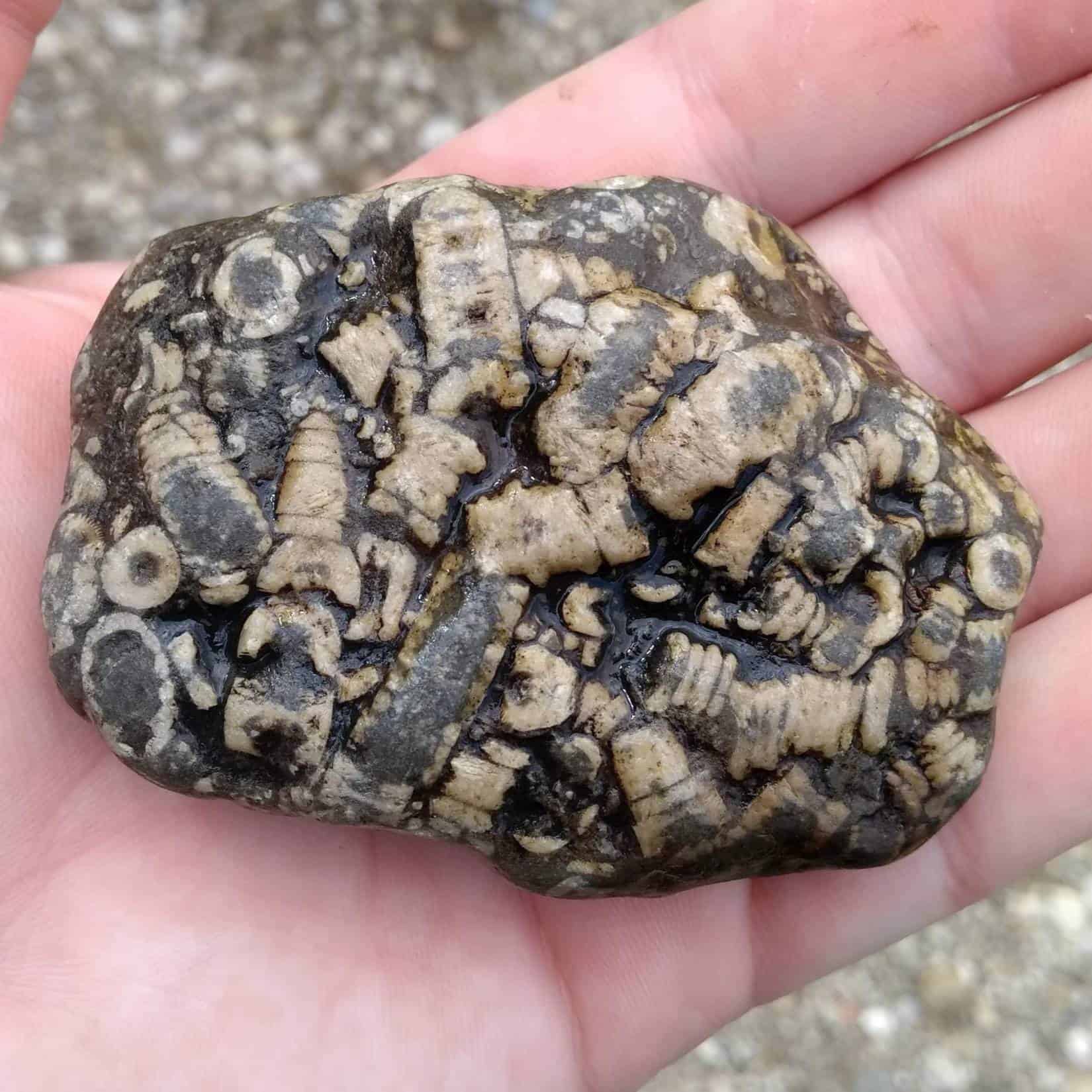 News and Articles about Gemstones, Minerals, and Fossils - UK