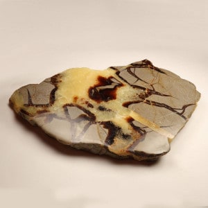 Polished Septarian Slices | Buy Septarian Slices Online | UK Gemstones