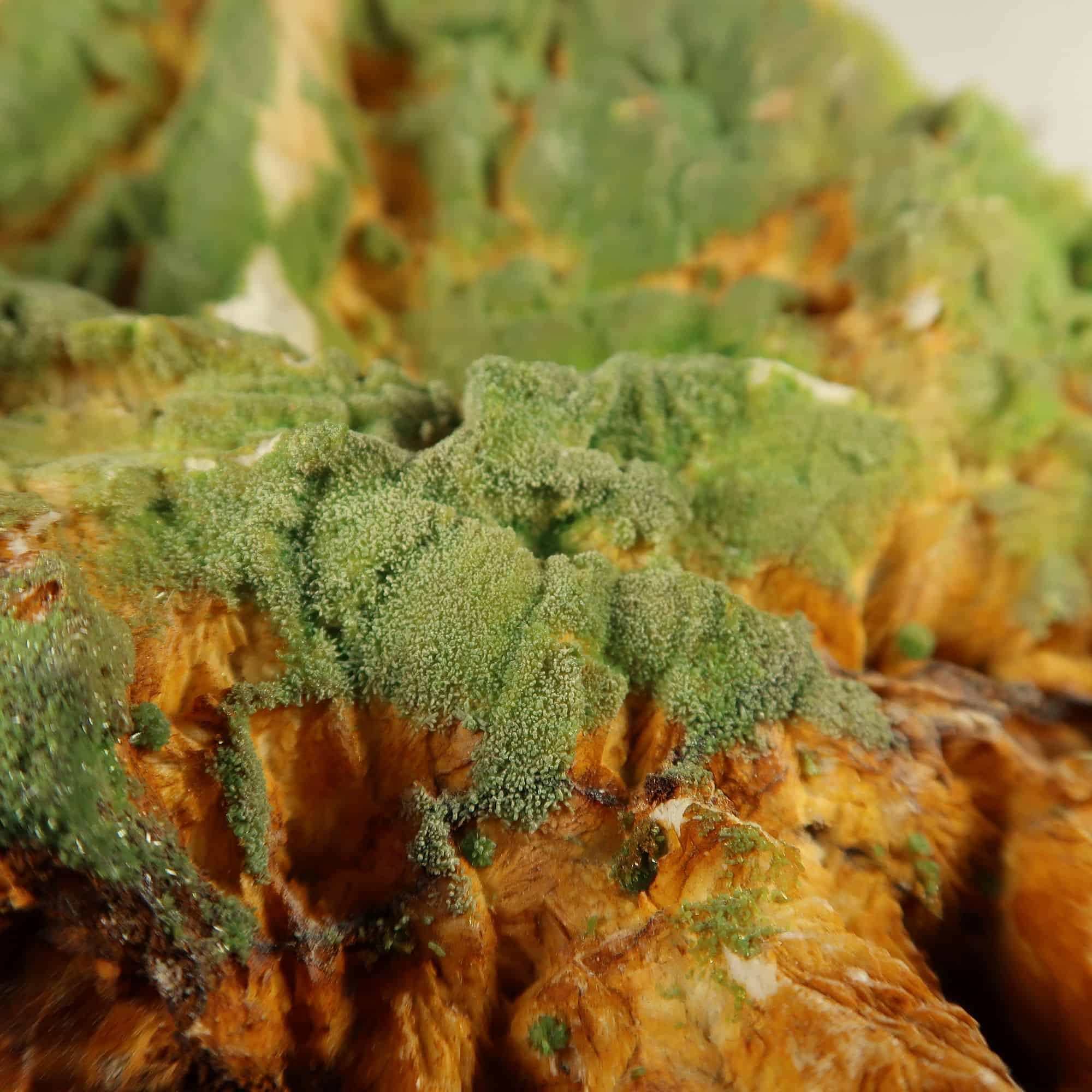 pyromorphite specimens from the uk