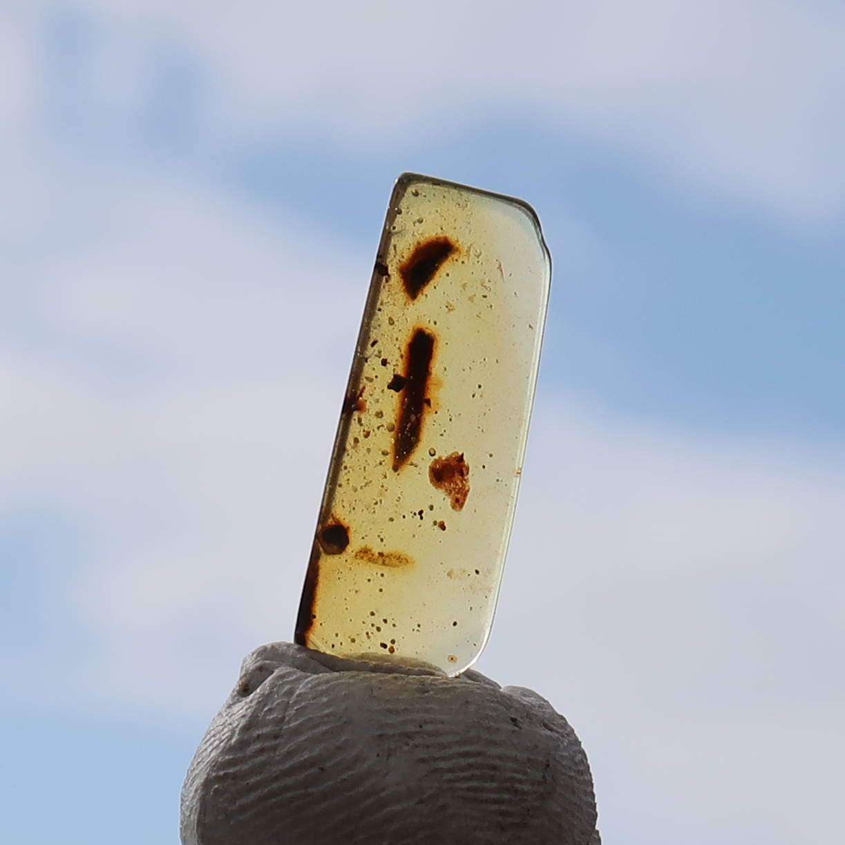 Burmite Amber | Cretaceous Burmese Amber | UK Shop