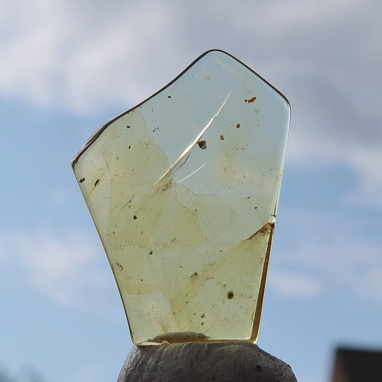 Burmite Amber | Cretaceous Burmese Amber | UK Shop
