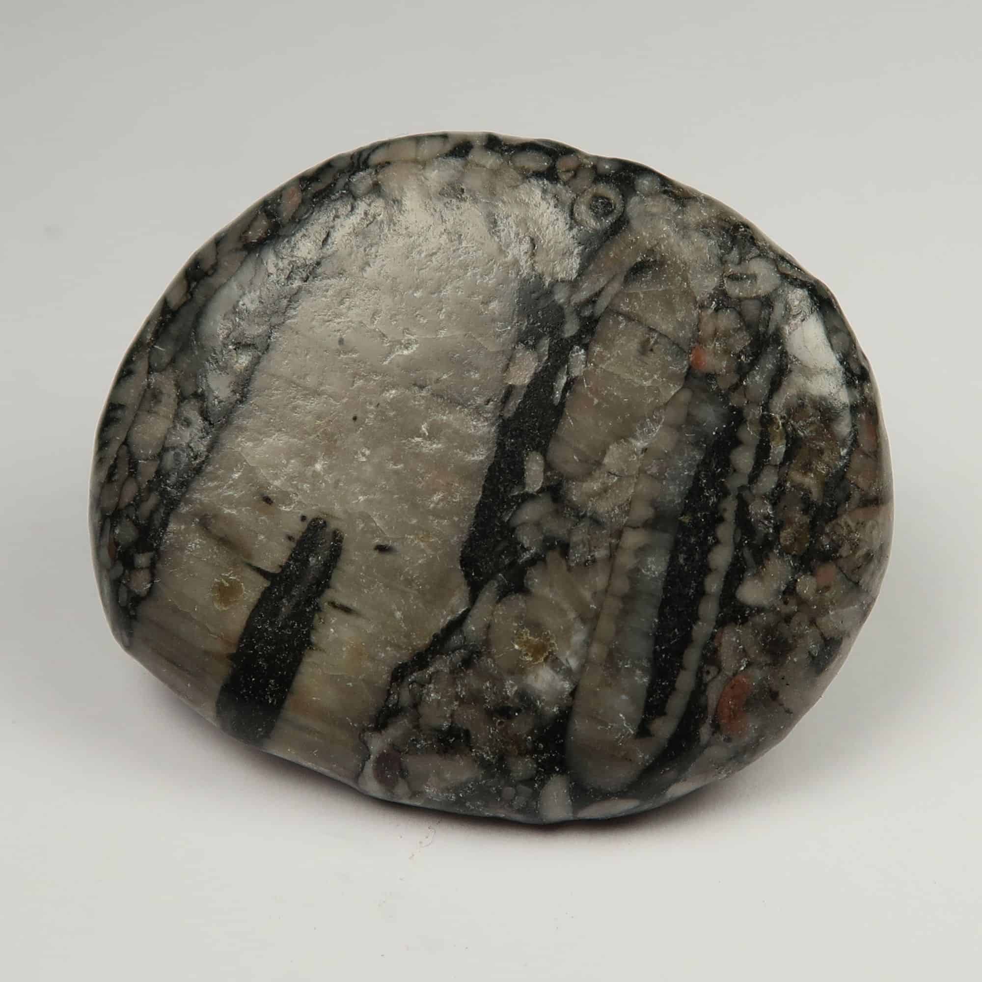 Crinoidal Limestone palmstones | Buy polished Crinoids | UK