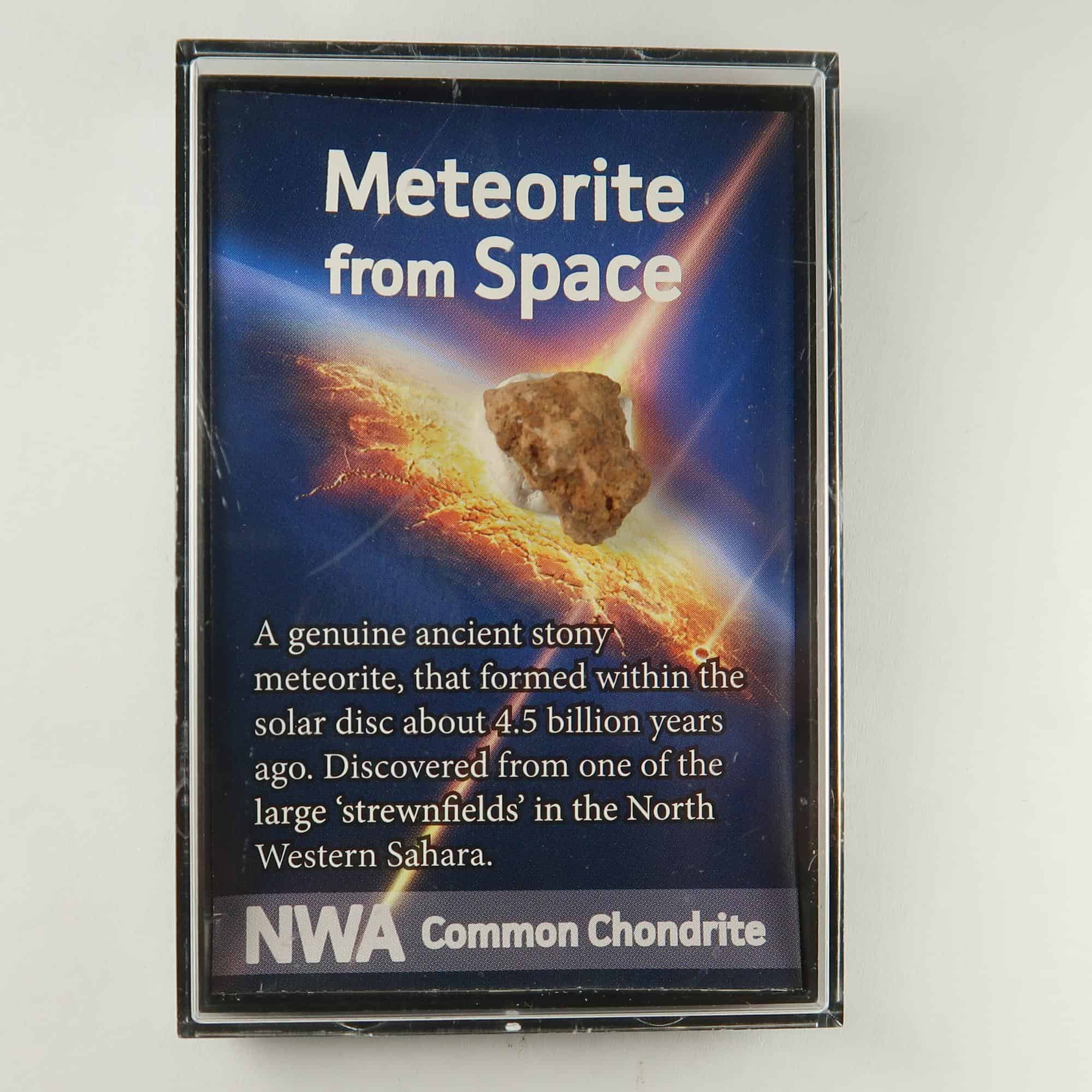 Common Chondrite (NWA) meteorite specimen in 'story box'