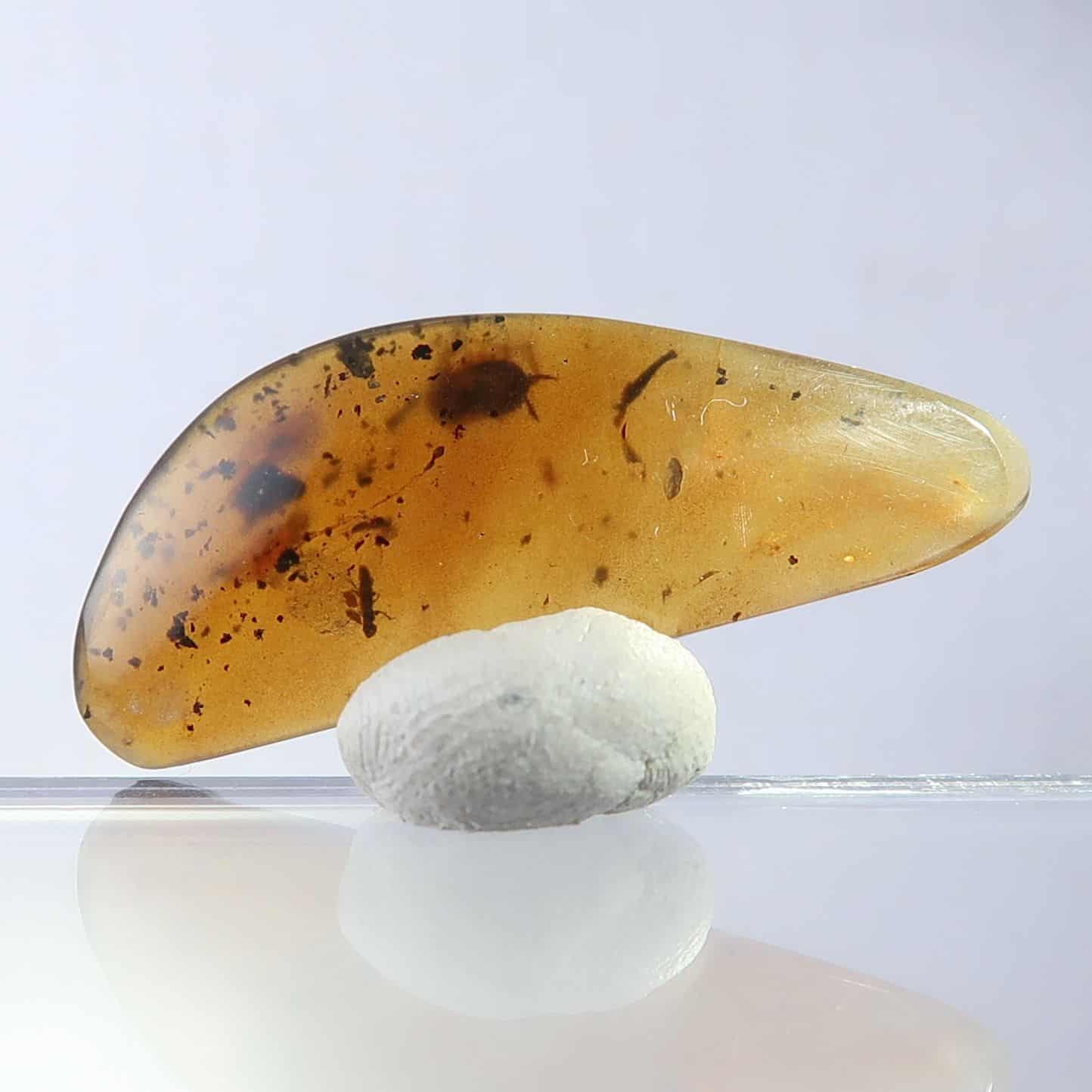 Mineral mounting putty | Mounting materials for micromounts