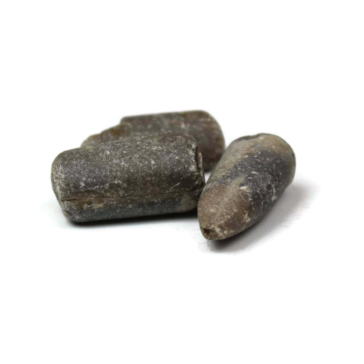 belemnite fragments